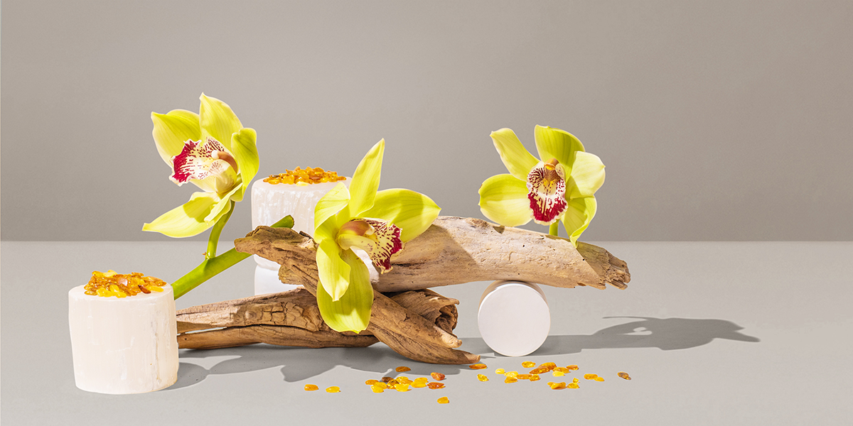 Trends Heating Up & Fizzling Out In February | makesy®