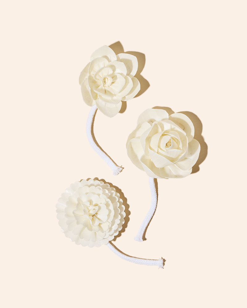 Sola Flower Diffuser Reeds, Set of 12 | makesy®