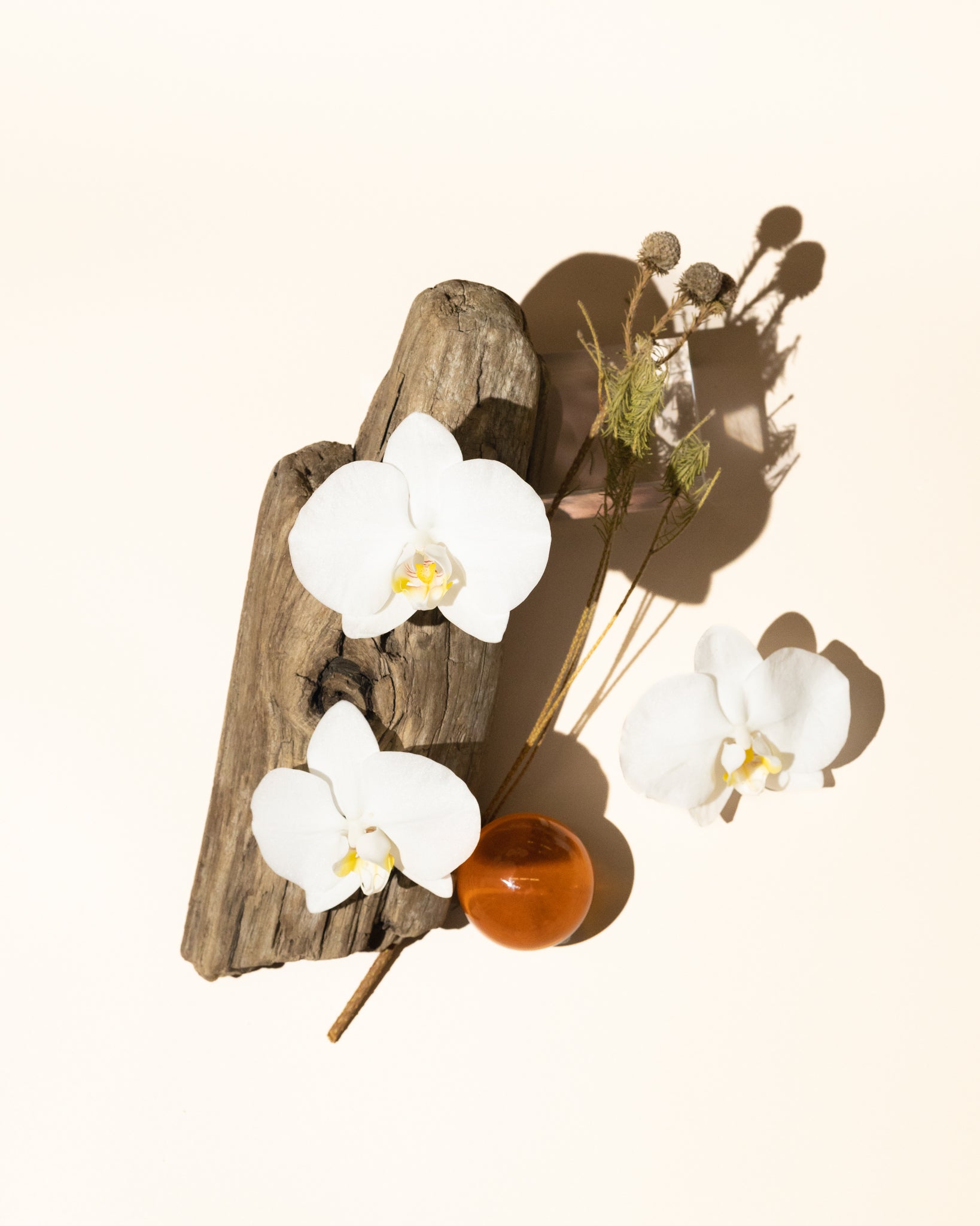 Amber Woods Accord | Perfumery Supplies | makesy®