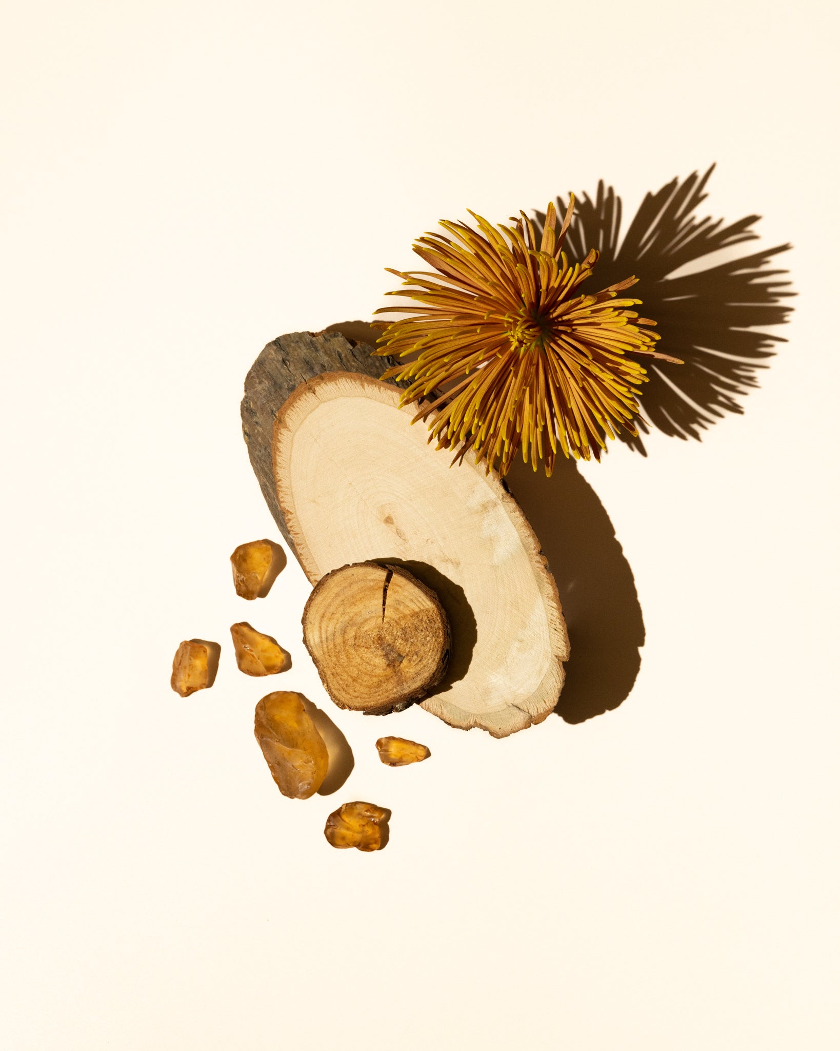 Cedar Amber Accord | Perfumery Supplies | makesy®