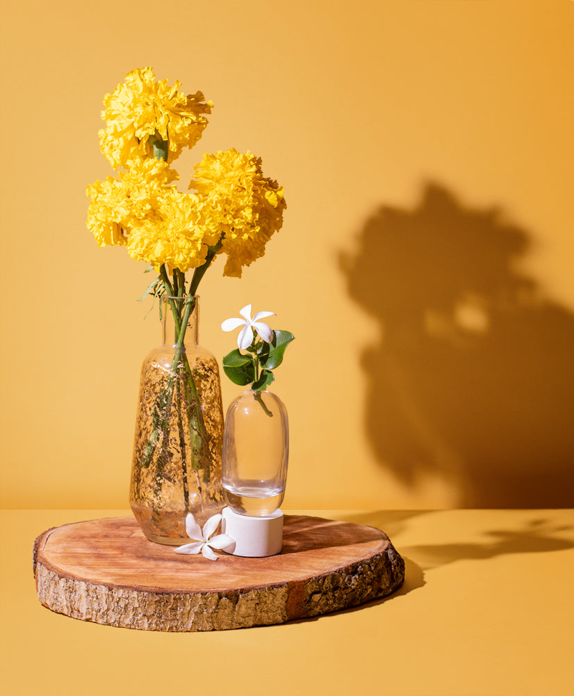 Marigold & Cedar Musk | Fragrance Oil for Candles, Soap | makesy®